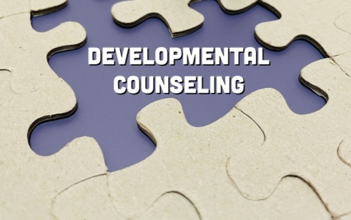 Developmental Counseling and Therapy: Implications for Clinical ...
